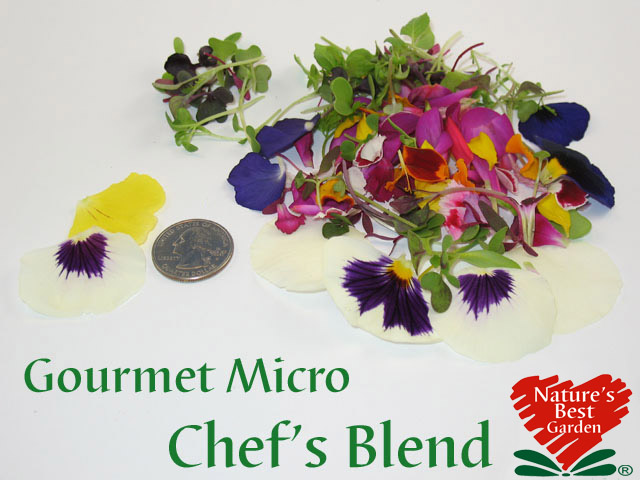 NBG Micro Greens