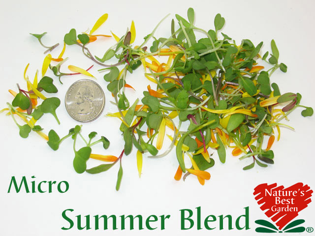 NBG Micro Greens
